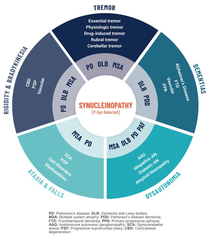 Syn-One Test™ – CND Life Sciences